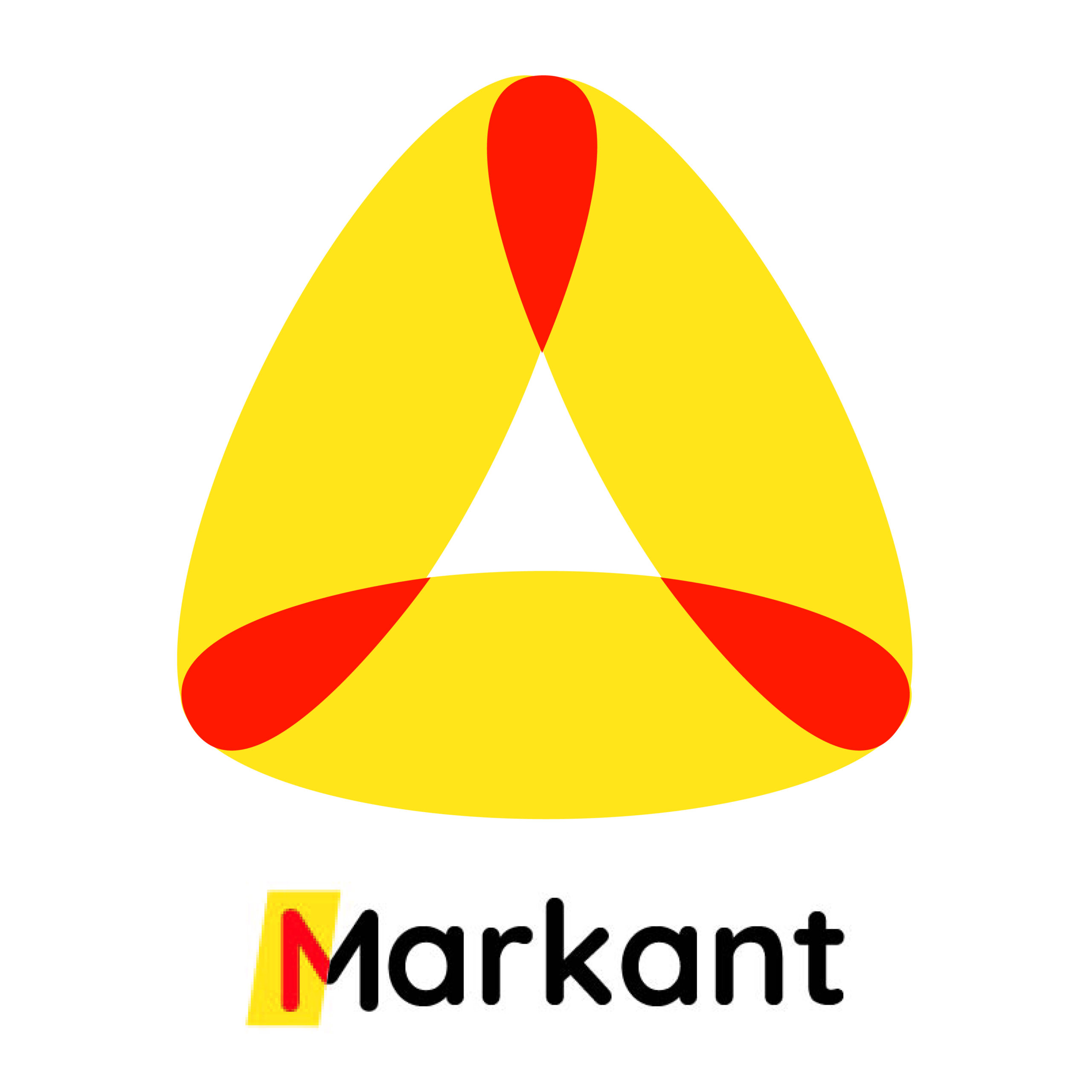 Terugkomdag Triadisch werken – samenwerken met naasten in de ggz - Markant